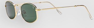 Cheapo Hacienda Gold Sonnenbrille green