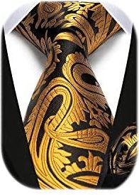 Hisdern Cravate Dor&eacute;e Homme Paisley Mariage Cravates et Pochette Set Floral Ensemble