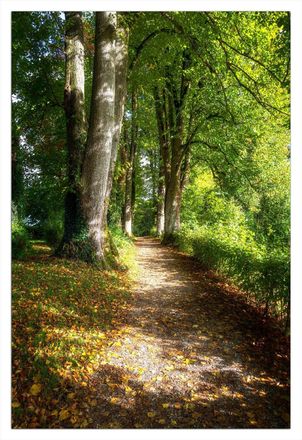 Wallario selbstklebendes Poster - Weg im Sonnenlicht, Aufkleber in Premiumqualit&auml;t, Klebefolie Gr&ouml;&szlig;e: 61 x 91,5 cm (Maxiposter)