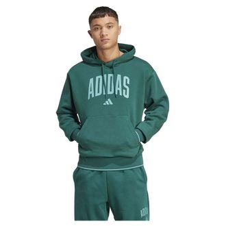 adidas Mens Collegiate Hoodie Collegiate Green/Powder Teal 2XL