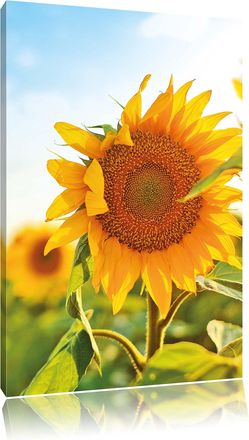 Pixxprint Sonnenblumenfeld SonnenblumeSonne, Größe: 60x40cm, Leinwandbild, fertig gespannt, Wandbild, Dekoration, Kunstdruck, kein Poster