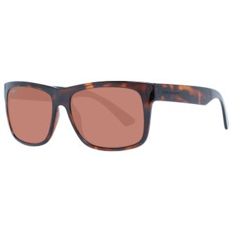 Serengeti Eyewear Sonnenbrille 8371-AU Positano 56