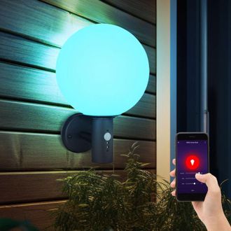 Globo Lighting Wandlampe mit Bewegungsmelder Außenleuchte Anthrazit Kugellampe Sensor led Hauswandleuchte, Glas Edelstahl, App Steuerung cct, Smart rgb led 8,5W