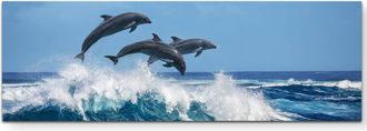 Paul Sinus Art Leinwandbilder | Bilder Leinwand 150x50cm springende Delphine