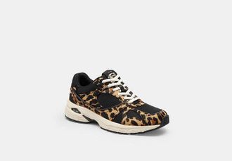 Coach Sport Sneaker Mit Leoparden-Print