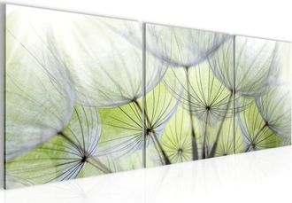 Runa Art Bilder Pusteblume 3 Teilig Bild auf Vlies Leinwand Deko Wohnzimmer Schlafzimmer 90 x 30 cm Natur Gr&uuml;n 206134a