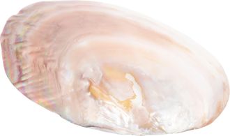 Cabilock Natürliches Backen Meer Muscheln Meerjungfrau Partyplatten Auster Backengerichte Vorspeisenplatten Zufällige Farbe