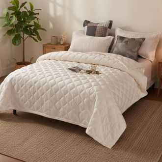 Shanna Quilt Bett&uuml;berwurf 3-teilige Set: Ganzjahres-Ultraweiche Mikrofaser Dicke Kuschel-Steppdecke 220 x 240 cm Bett&uuml;berwurf Set mit 2 Kopfkissenbez&uuml;gen 50 