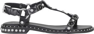 Ash Ash, Femme, Chaussures, Noir, Taille: 40 EU Podium Sandal