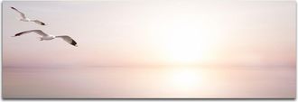 Paul Sinus Art Bilder Wand Bild - Kunstdruck 120x40cm Meer Sonnenlicht Möwen abstrakt