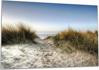 Wallario Herdabdeckplatte/Spritzschutz aus Glas, 1-teilig, 90x52cm, für Ceran- und Induktionsherde, Weg durch die Dünen zum Strand am Meer