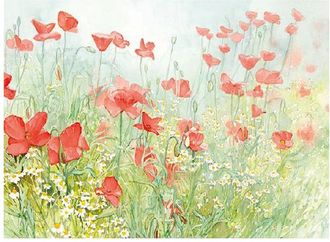 Ava Tischsets Papier 43x30cm 50 Stück - Einweg Platzsets DIN A3 mit Mohnblumen Motiv - Vielseitige Platzdeckchen & Tischuntersetzer für Hochzeit, Geburtst