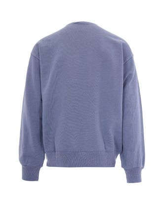Carhartt Work in Progress Mens Sweatshirt Nelson Gentle Blue Cotton Sweatshirts Sweater