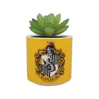 Harry Potter Half Moon Bay Indoor Plant Pot | Ceramic Plant Pot & Indoor Plant Pots | Indoor Pots for Plants | Decorative Plant Pots Indoor | Indoor Planter Gifts 