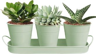 Generico Blument&ouml;pfe - Modernes Tablett 30,5 cm | Gartenbeh&auml;lter aus Metall: 3-teiliges Set mit abnehmbarem Boden f&uuml;r Blumen im Innen- und Au&szlig;enbereich. Dieses