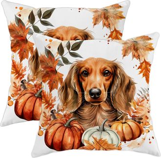 Generic Herbsternte Dackel Sofakissenbezug Luxuri&ouml;se Dekokissen Atmungsaktiv Dekokissenbezug F&uuml;r Sofa Balkon Bett 45X45Cm 2Er Set