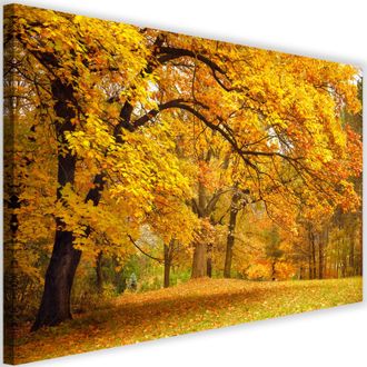 Feeby Bild auf Leinwand Herbst Kunstdruck Modern Blätter Bäume Wald Natur gelb 90x60 cm