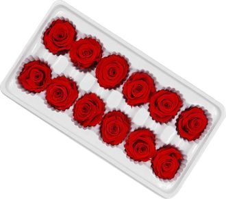 NUOBESTY Unsterbliche Rose 12 St&uuml;ck Rosenkopf 3 4cm Konservierte Frische Blumen Rote Ewige Blume f&uuml;r Valentinstag Hochzeit und Selbstgemacht Dekoration