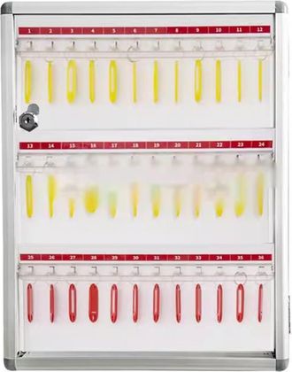 Generic Schlüsselschrank, Kombinationsschlüsselkasten-Organizer, Kleiner transparenter Sichtschlüsselschrank zur Wandmontage, 2 Kapazitäten zur Auswahl, Schlü