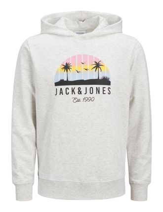 Jack & Jones Jjpalm Sweat Hood