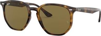 Ray-Ban Rb4306 710/73 54 Mm