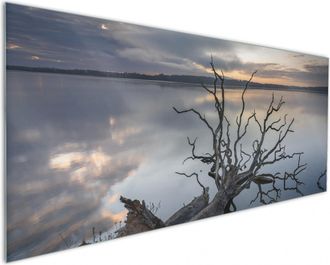 Wallario K&uuml;chenr&uuml;ckwand aus Glas 125 x 50 cm, Motiv: Baum im Abendlicht | Spritzschutz abwischbar & pflegeleicht