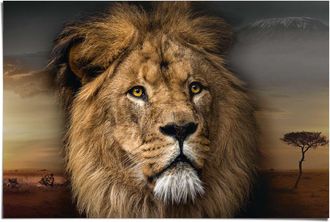 Reinders Poster, L&ouml;wenkopf, Schlafzimmer, Poster, Wanddeko, Room Decor, 150 gr. gl&auml;nzend Bilderdruckpapier, Beige, 61 x 91,5