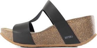 Bayton Mules Hecate