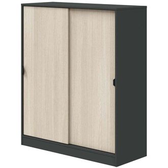 Dmora Armoire 2 Portes Resana, Armoire de Chambre 4 &Eacute;tag&egrave;res, 2 Portes, 40x119h cm Gris Anthracite