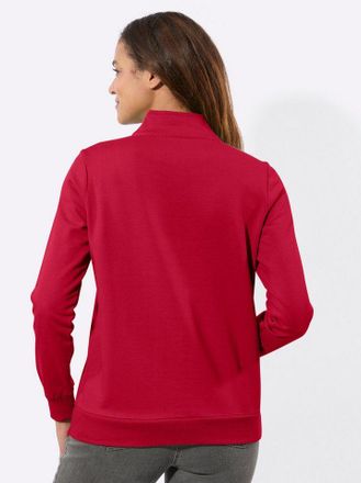 Witt Sweater Sweatshirt Langarm