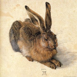 1art1 Albrecht D&uuml;rer Poster Junger Feldhase, 1502 Kunstdruck Bild 70x70 cm
