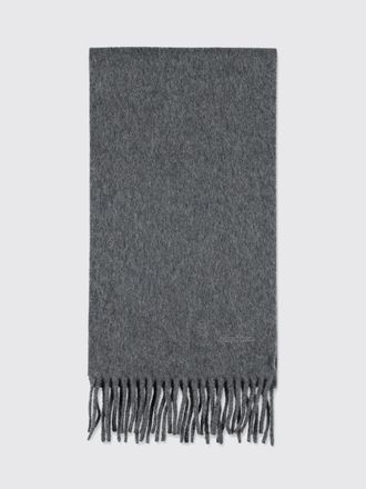 Max Mara Schal MAX MARA Damen Farbe Avion