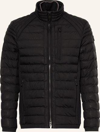 Wellensteyn Wellensteyn Steppjacke Molecule schwarz