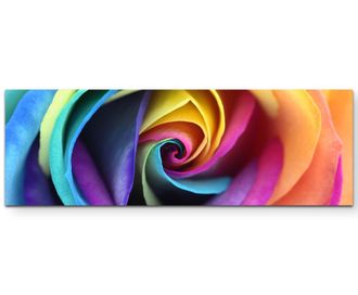 Paul Sinus Art Leinwandbilder | Bilder Leinwand 120x40cm eine Rose in den Farben des Regenbogens - Nahaufnahme