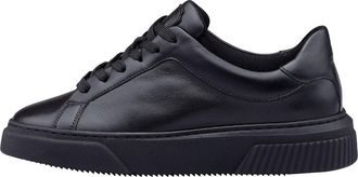 Lloyd Sneaker Grace