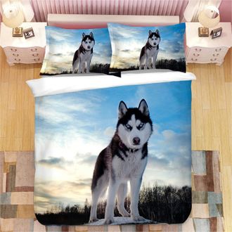 Generic 3D Husky Bettwäsche 135x200 Tiere 3 Teilig Weiche Mikrofaser Bettwäsche Husky Bettbezug Set und 2 Kissenbezug 80x80 cm mit Reißverschluss A731