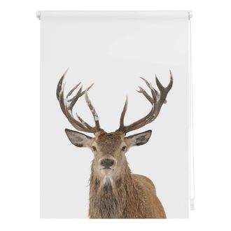 LICHTBLICK Klemmfix Tageslicht-Rollo mit Motiv, ohne Bohren, Blickdicht, Seitenzugrollo, Made in Germany, Hirsch - Weiß Braun 100 x 150 cm (B x L)