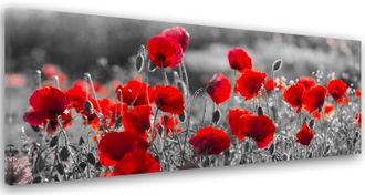 Feeby Bilder - Foto Geschenk - Rote Mohnblumen auf Wiese Grau - 90x30 cm 1tlg - Leinwandbilder Wohnzimmer - Wandbild &uuml;ber dem Bett - Bild Schlafzimmer - Aes