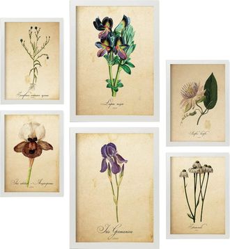 Nacnic Set von 6 Vintage-Blumen-Poster. Sammlung von Platten mit ästhetischer Collage für Innendekoration. Größen A3 und A4. Mit weißem Rahmen