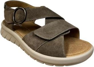 Hartjes Femme, Chaussures, Brun, Taille: 39 EU Sandales