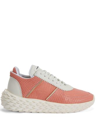 Giuseppe Zanotti baskets Urchin - Orange