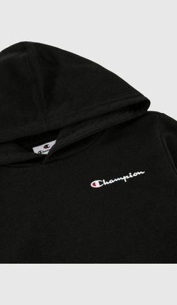 Champion Sweatshirt Hooded Sweatshirt NBK-NS
