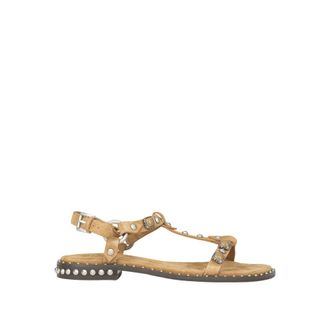 Ash Ash, Damen, Schuhe, Beige, 36 EUGr&ouml;&szlig;e
