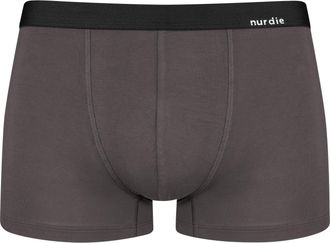 Nur Die Boxer Bambus