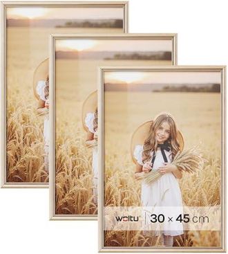 Woltu Lot de 3 Cadre Photo 30x45cm Cadre en Bois Massif avec Passe Partout, Suspendre Horizontalement ou Verticalement, Décoration Murale ou sur Table, Or