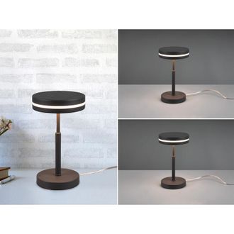 Trio Leuchten 2-er Set kleine led Tischleuchten rund, Anthrazit, H&ouml;he 25cm