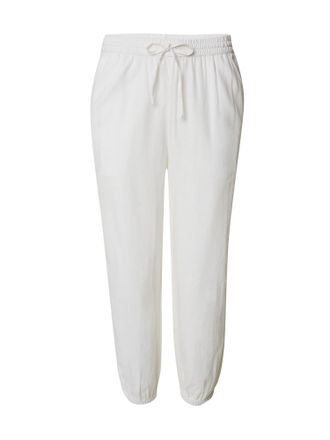 Dan Fox Apparel Hose Gino