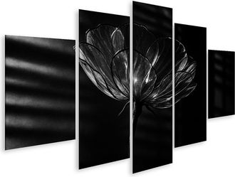 Islandburner Prime Bild auf Leinwand Blume Im Schatten Schwarz Weiss Kunstfotografie - Leinwand 170x80cm - 5 Teile
