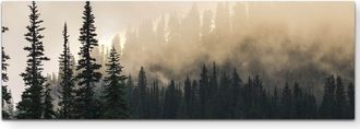 Paul Sinus Art Wandbild auf Leinwand 150x50cm Wald im Nebel
