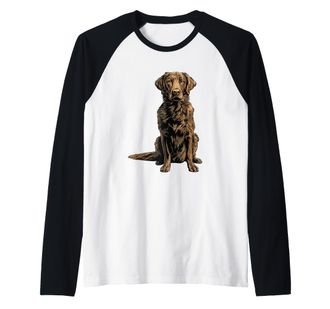 Whyitsme Design Braune, flach beschichtete Retriever-Hunde-Illustration Raglan
